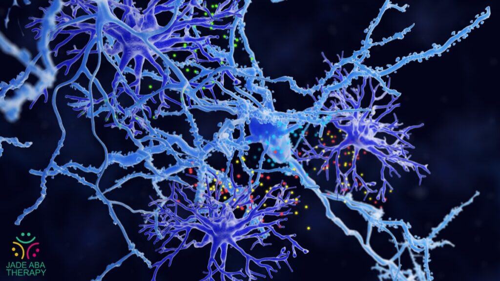 What Microglia Activation Means for Autism Brain Health - JADE ABA